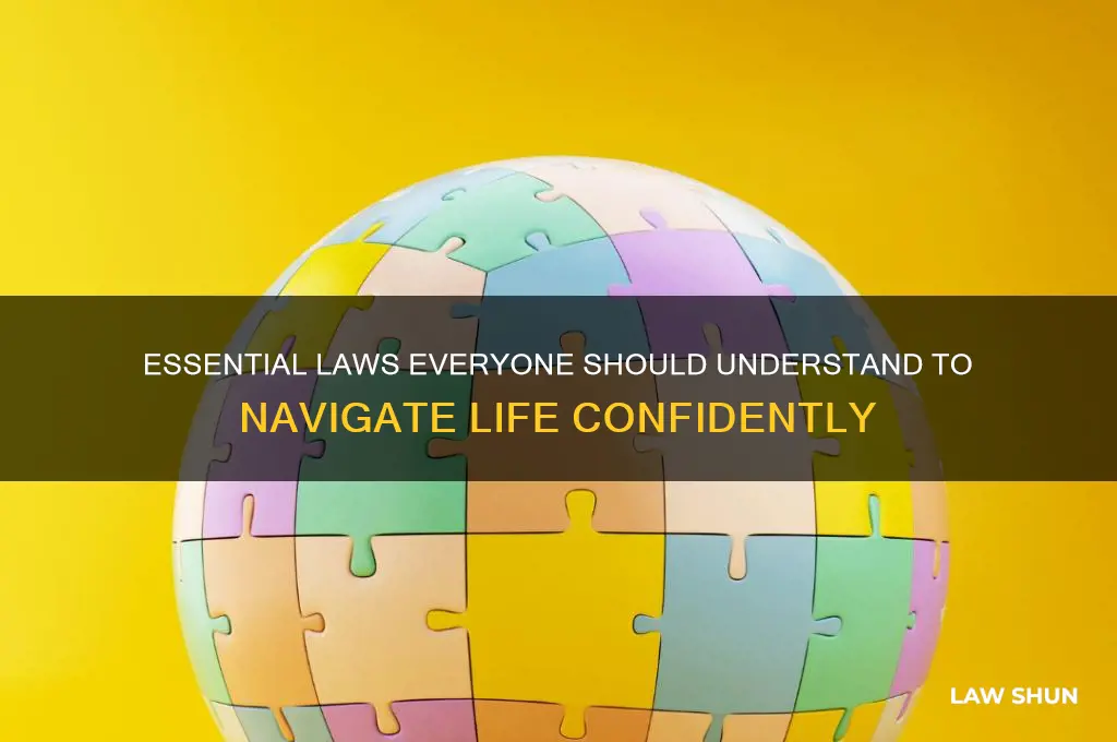 Essential Laws Everyone Should Understand To Navigate Life Confidently ...