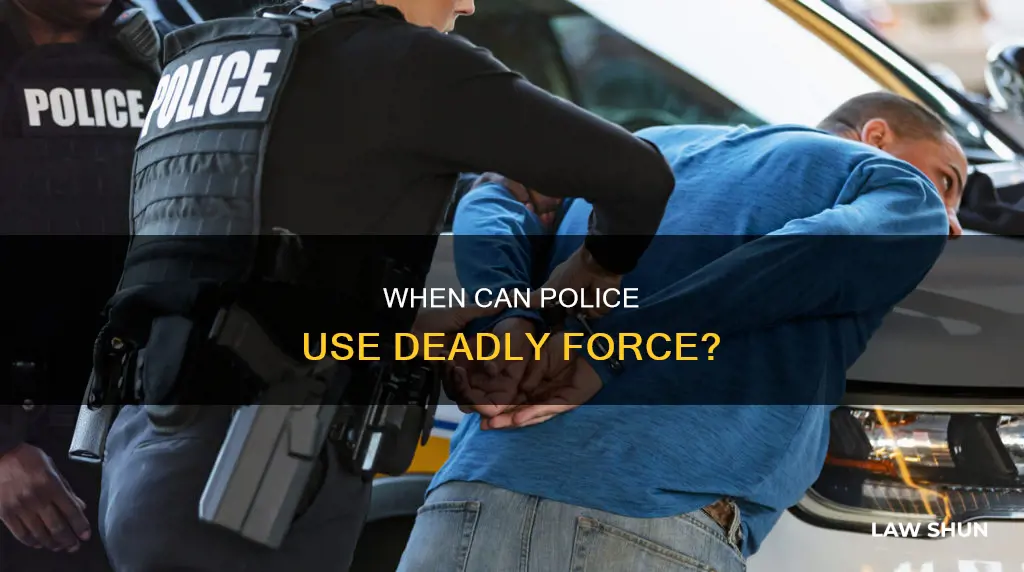 When Can Police Use Deadly Force? | LawShun