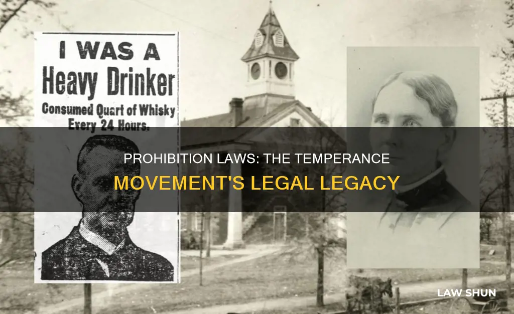 Prohibition Laws: The Temperance Movement's Legal Legacy | LawShun