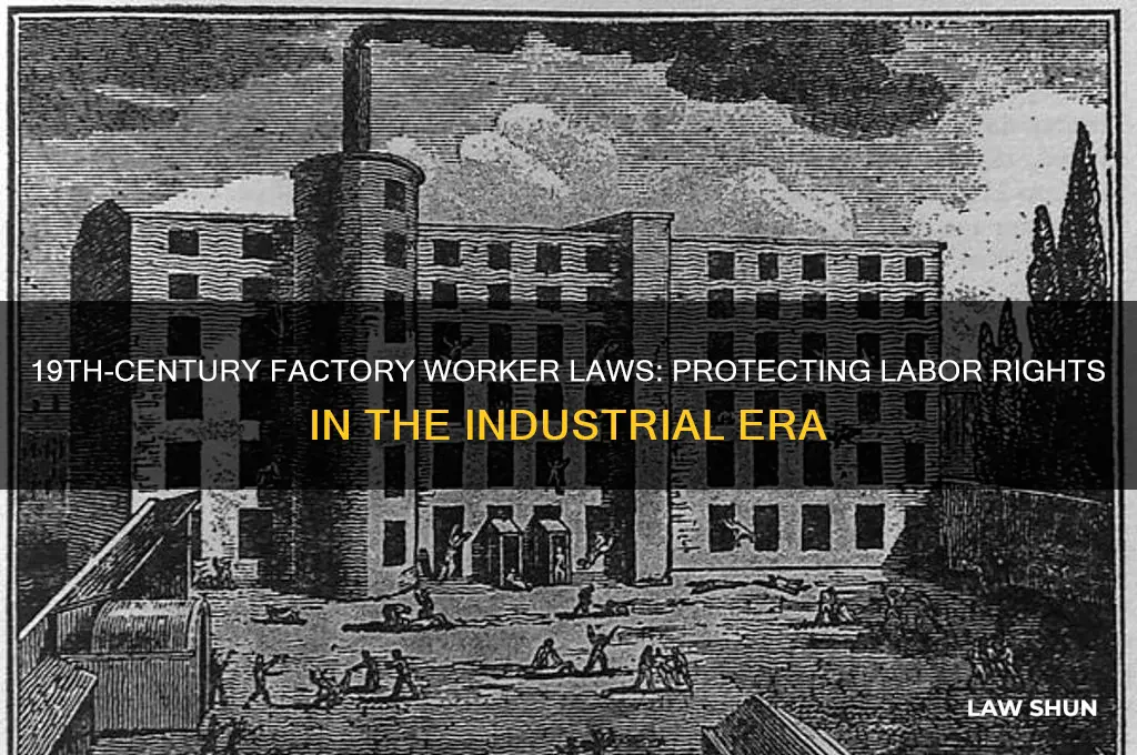 19Th-Century Factory Worker Laws: Protecting Labor Rights In The ...