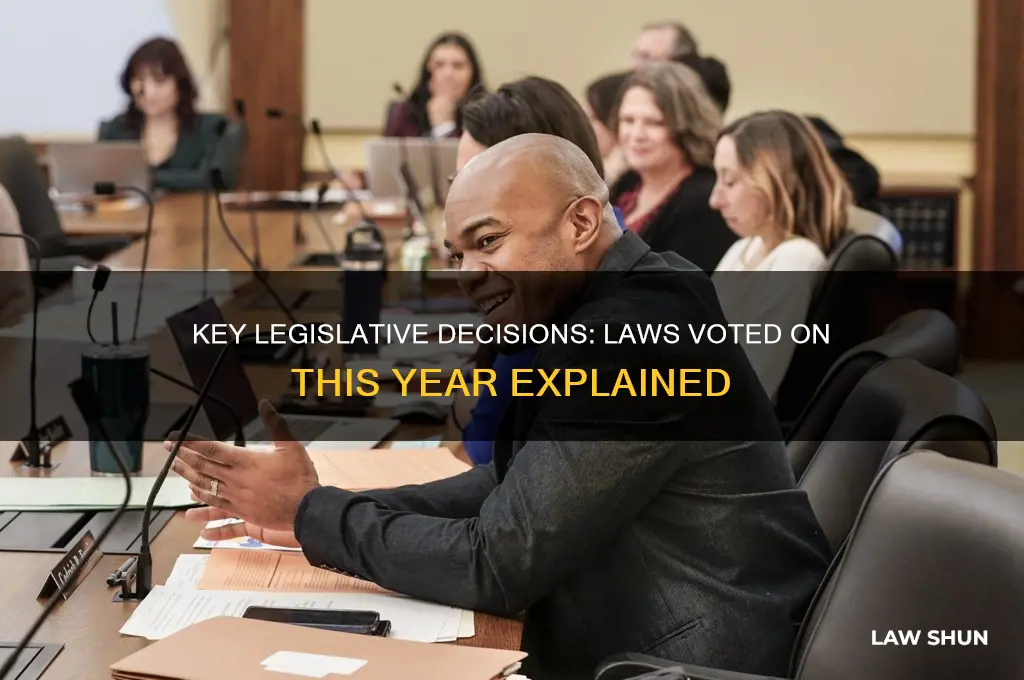 Key Legislative Decisions: Laws Voted On This Year Explained | LawShun