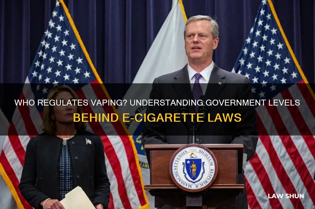 Who Regulates Vaping? Understanding Government Levels Behind E ...