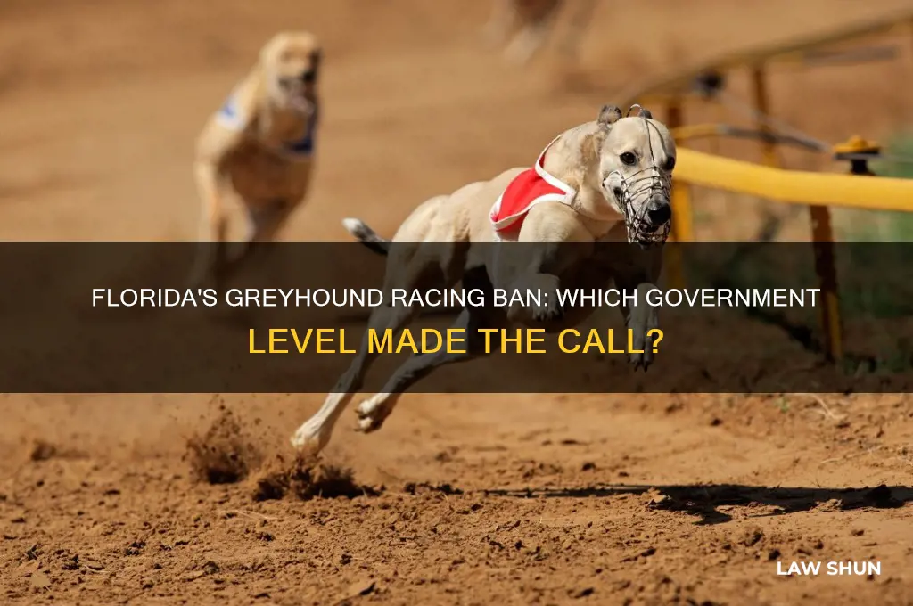 Florida's Greyhound Racing Ban: Which Government Level Made The Call ...