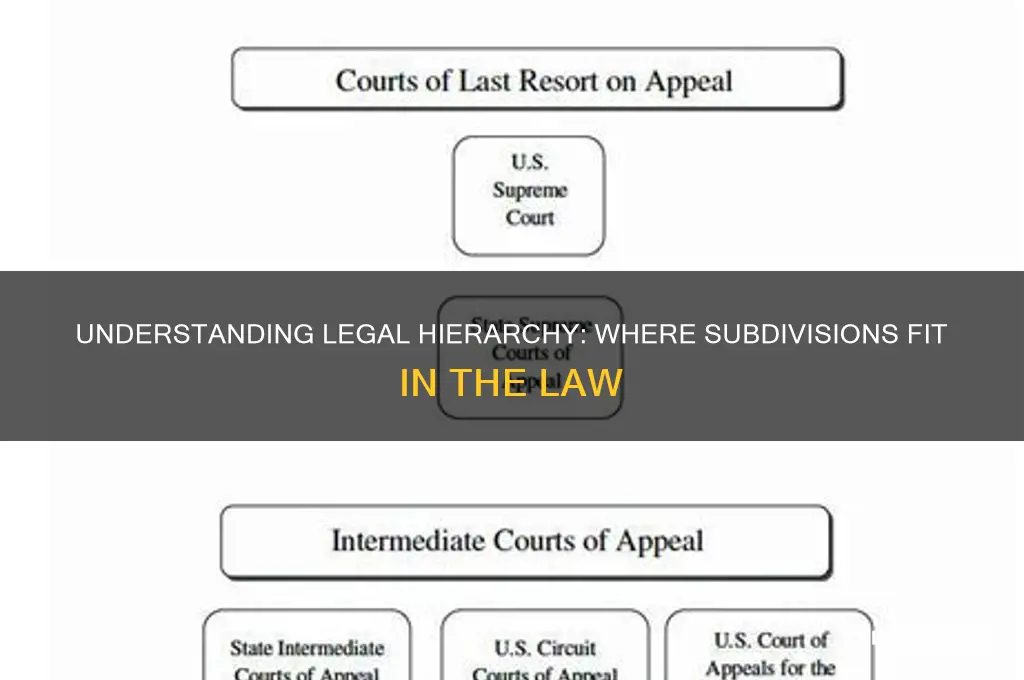 Understanding Legal Hierarchy: Where Subdivisions Fit In The Law | LawShun