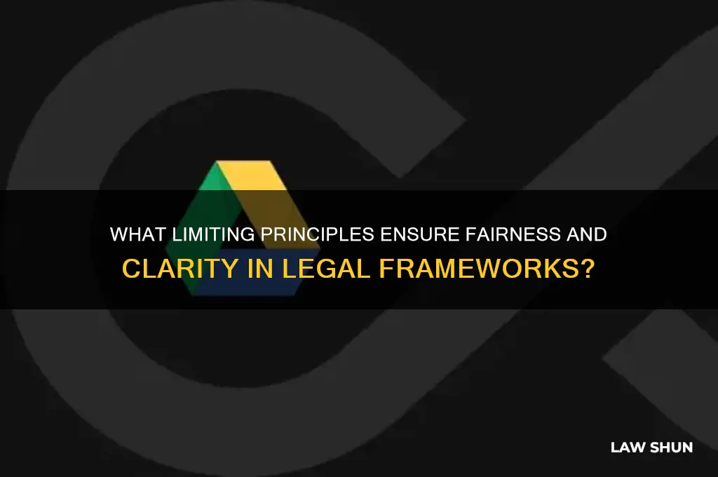 What Limiting Principles Ensure Fairness And Clarity In Legal ...