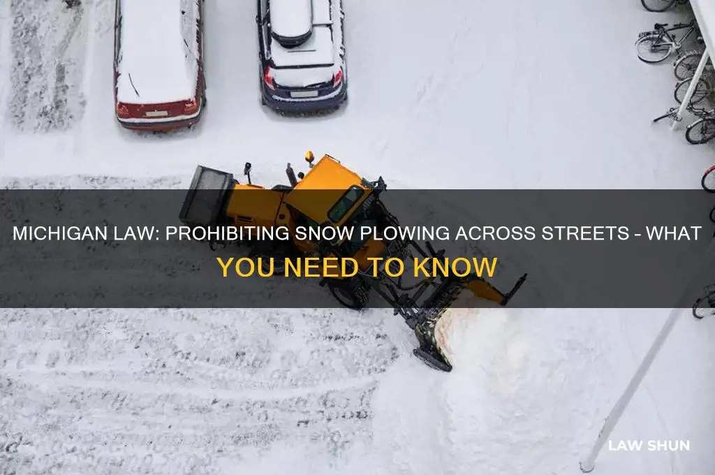 Michigan Law: Prohibiting Snow Plowing Across Streets – What You Need ...