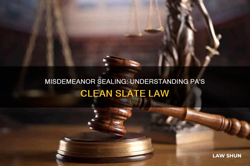 Misdemeanor Sealing: Understanding Pa's Clean Slate Law | LawShun