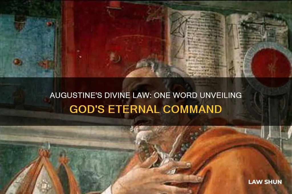 Augustine's Divine Law: One Word Unveiling God's Eternal Command | LawShun
