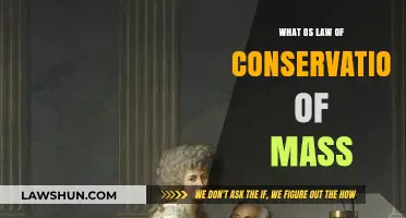 Understanding The Law Of Conservation Of Mass: Simple Examples For Kids ...