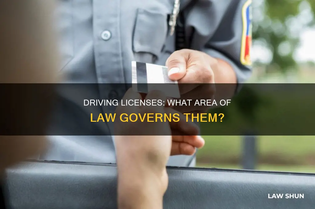 Driving Licenses: What Area Of Law Governs Them? | LawShun