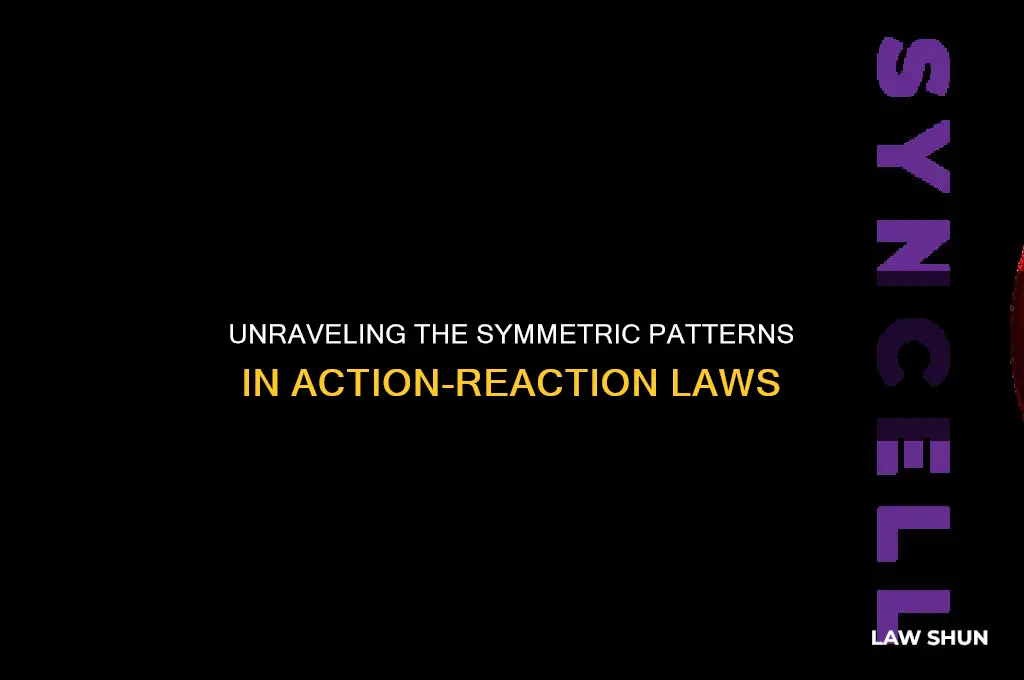 Unraveling The Symmetric Patterns In Action-Reaction Laws | LawShun