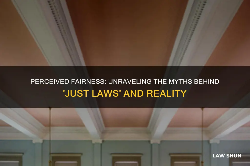 Perceived Fairness: Unraveling The Myths Behind 'Just Laws' And Reality ...