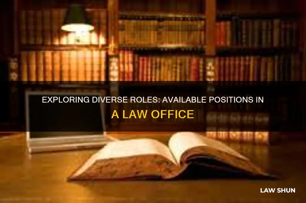 Exploring Diverse Roles: Available Positions In A Law Office | LawShun
