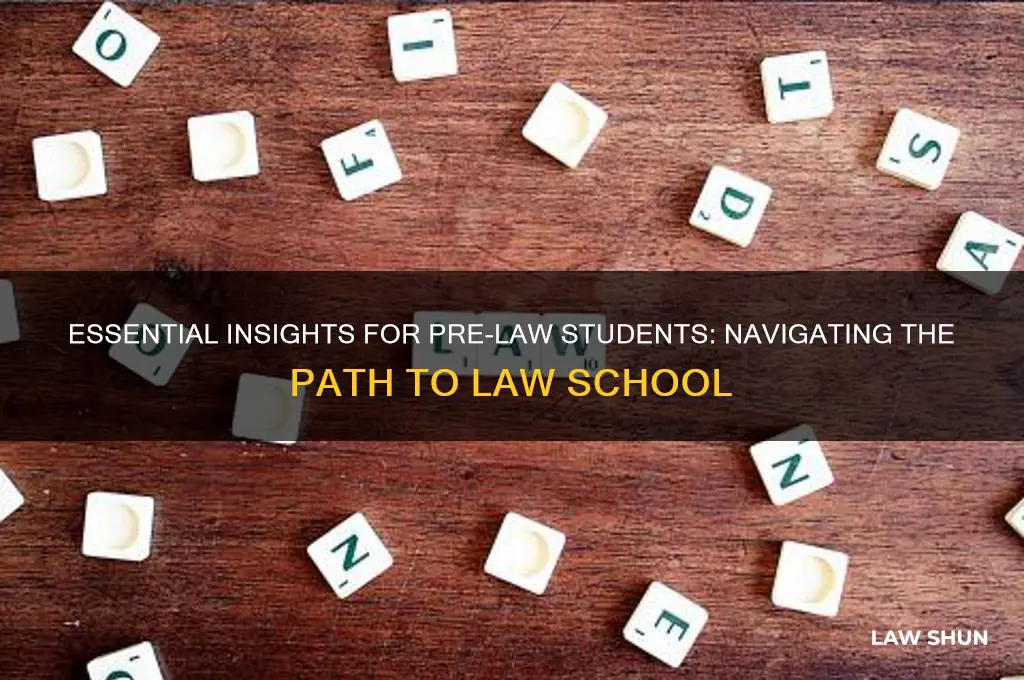 Essential Insights For Pre-Law Students: Navigating The Path To Law ...