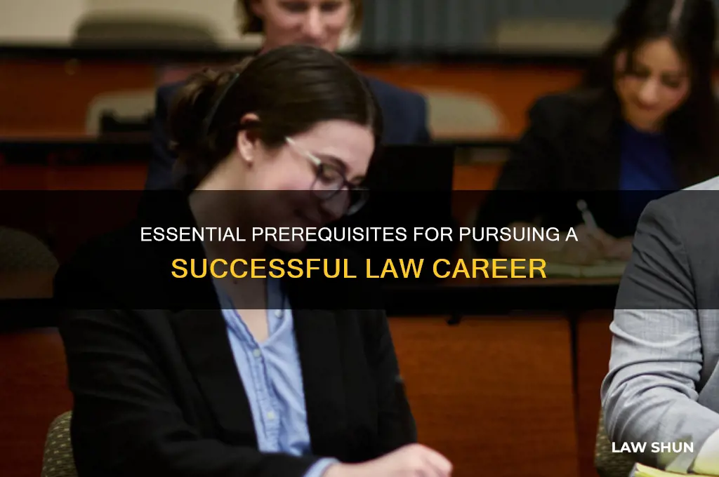 Essential Prerequisites For Pursuing A Successful Law Career | LawShun