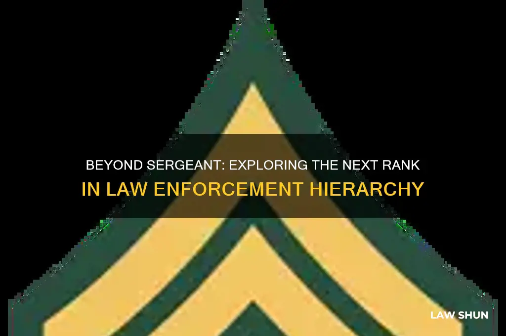 Beyond Sergeant: Exploring The Next Rank In Law Enforcement Hierarchy ...