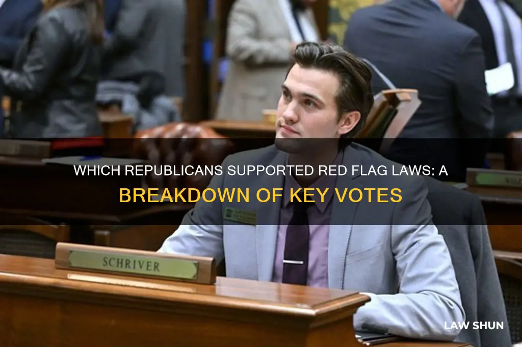 Which Republicans Supported Red Flag Laws: A Breakdown Of Key Votes ...