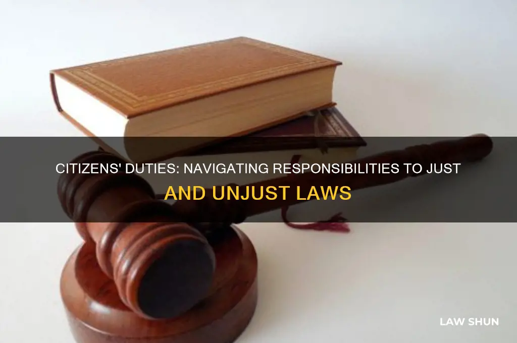 Citizens' Duties: Navigating Responsibilities To Just And Unjust Laws ...