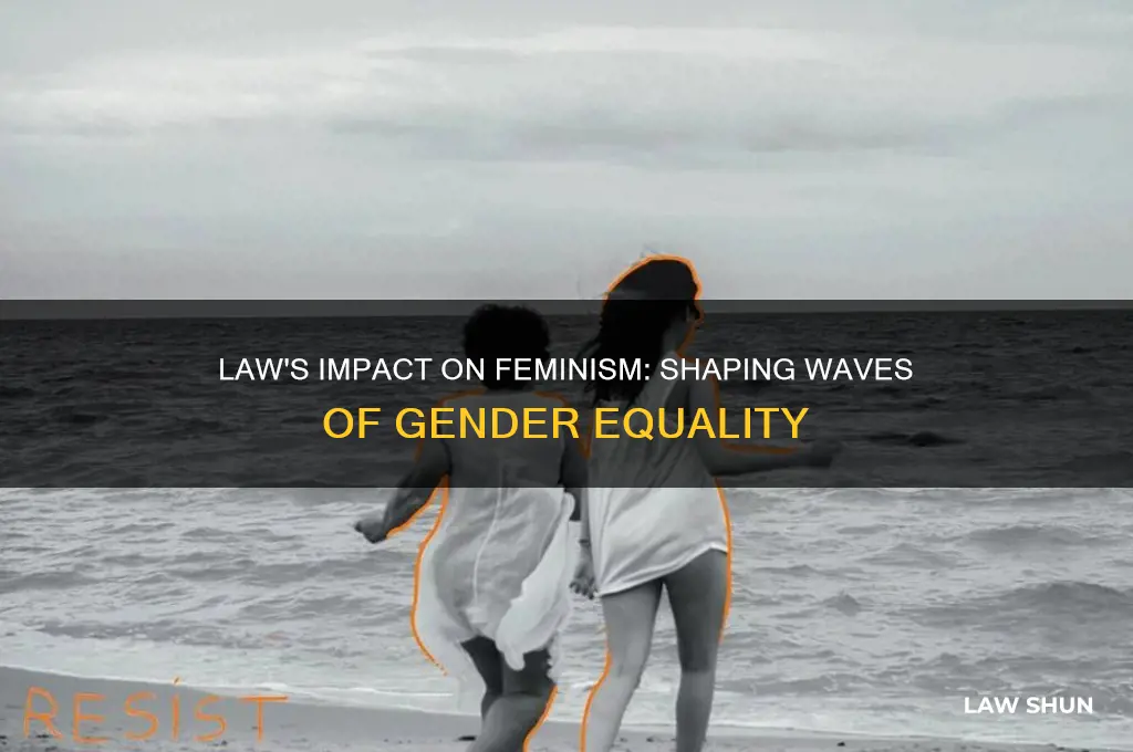 Law's Impact On Feminism: Shaping Waves Of Gender Equality | LawShun