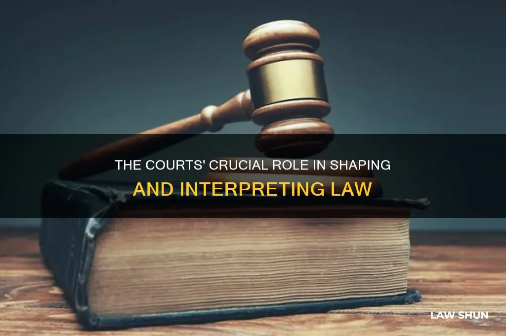 The Courts' Crucial Role In Shaping And Interpreting Law | LawShun