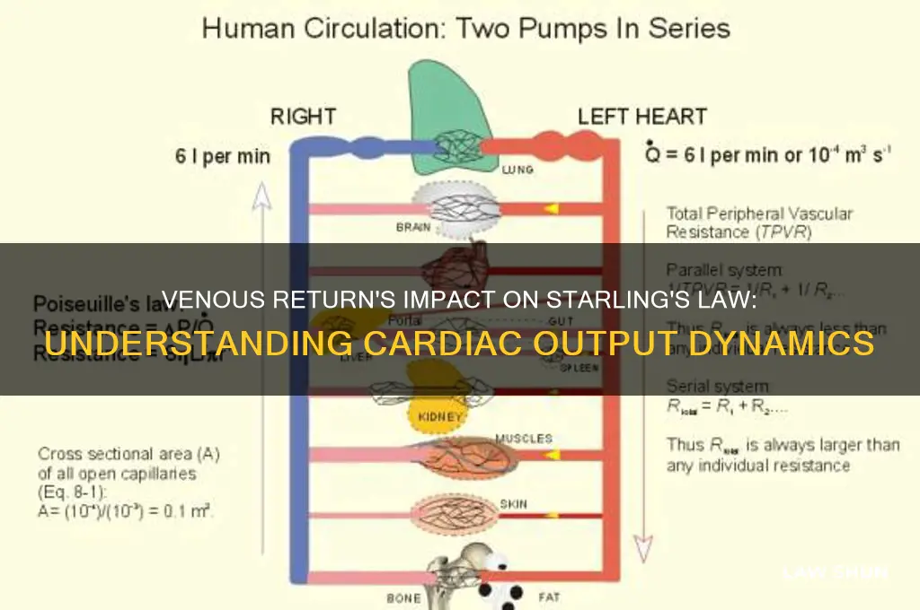 Venous Return's Impact On Starling's Law: Understanding Cardiac Output ...