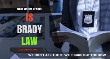 Napoleon's Law Code: Unveiling The Legal Legacy Of An Empire | LawShun