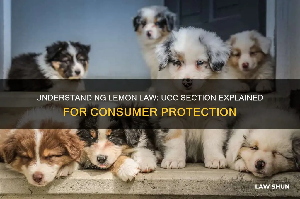 Understanding Lemon Law: Ucc Section Explained For Consumer Protection ...