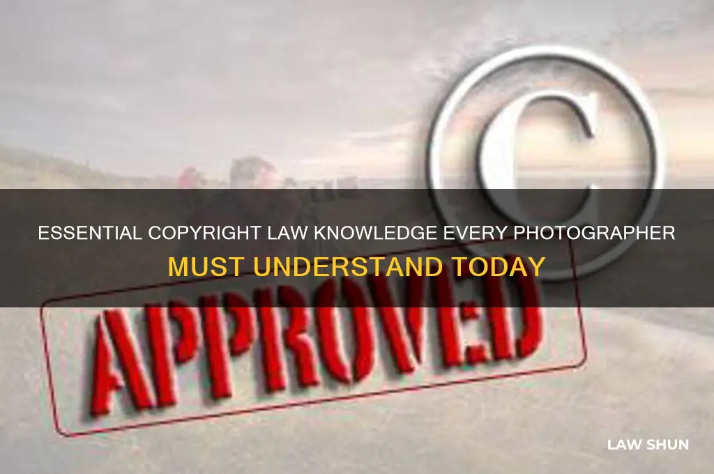 Essential Copyright Law Knowledge Every Photographer Must Understand ...
