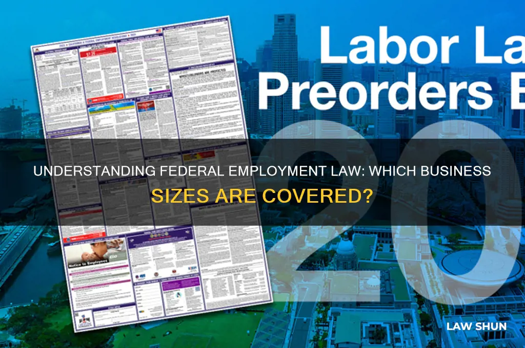 Understanding Federal Employment Law: Which Business Sizes Are Covered ...