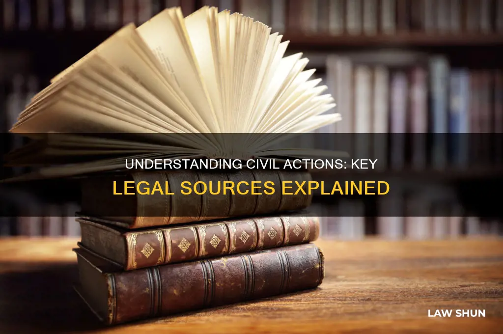 Understanding Civil Actions: Key Legal Sources Explained | LawShun