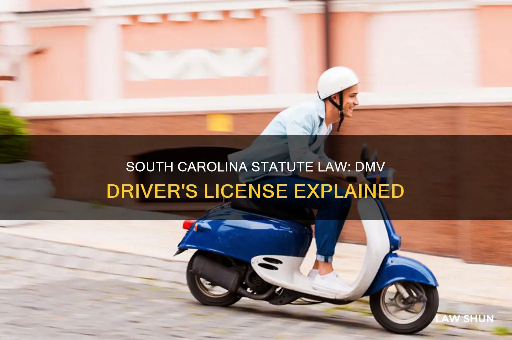 South Carolina Statute Law: Dmv Driver's License Explained | LawShun