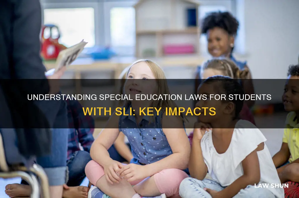 Understanding Special Education Laws For Students With Sli: Key Impacts ...