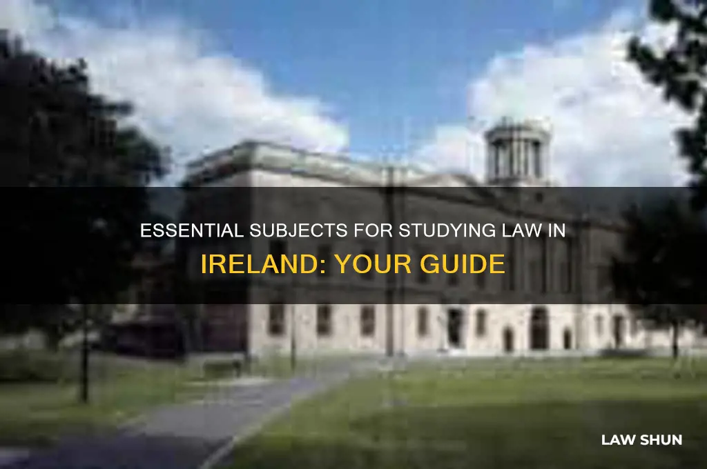 Essential Subjects For Studying Law In Ireland: Your Guide | LawShun