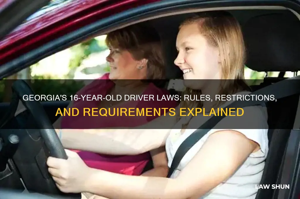 Georgia's 16-Year-Old Driver Laws: Rules, Restrictions, And ...