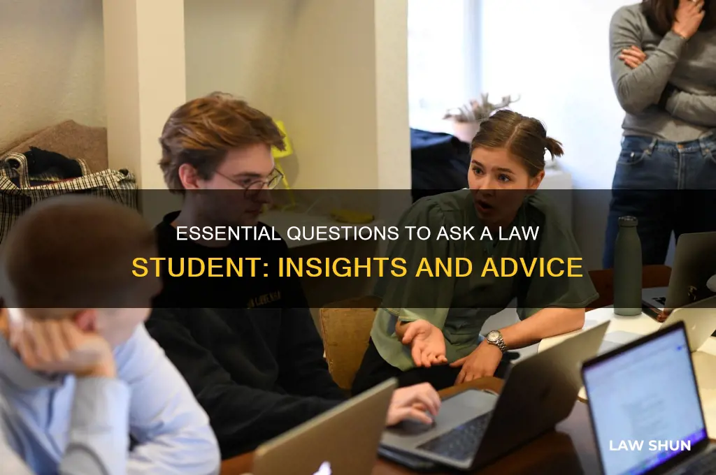 Essential Questions To Ask A Law Student: Insights And Advice | LawShun
