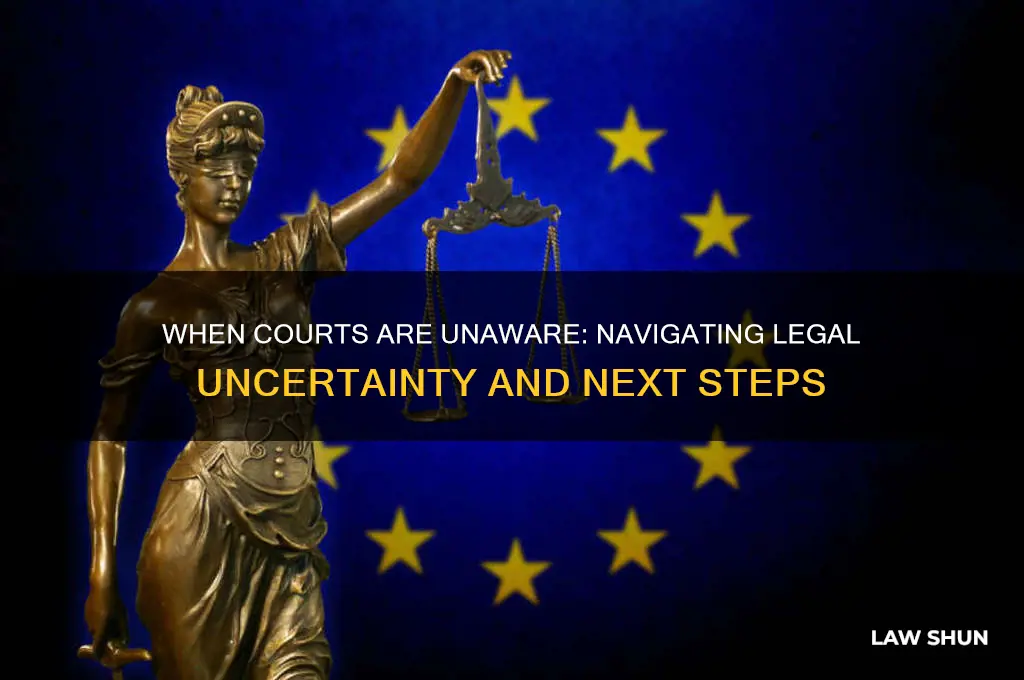 When Courts Are Unaware: Navigating Legal Uncertainty And Next Steps ...