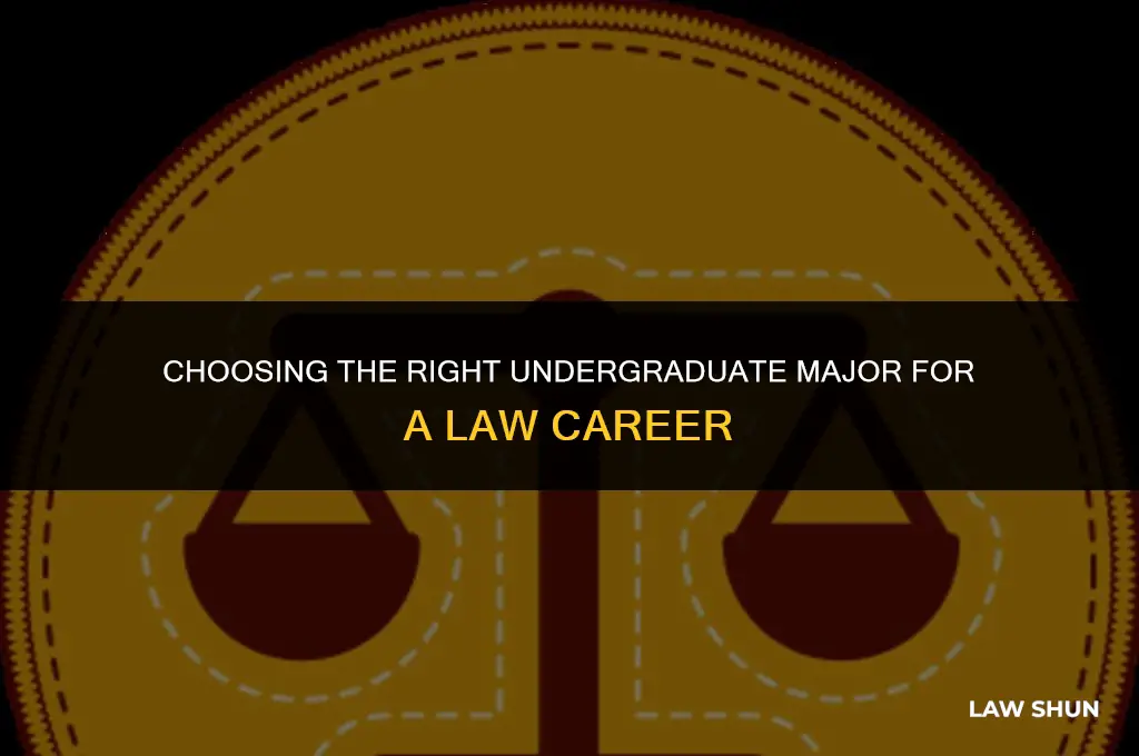 Choosing The Right Undergraduate Major For A Law Career | LawShun
