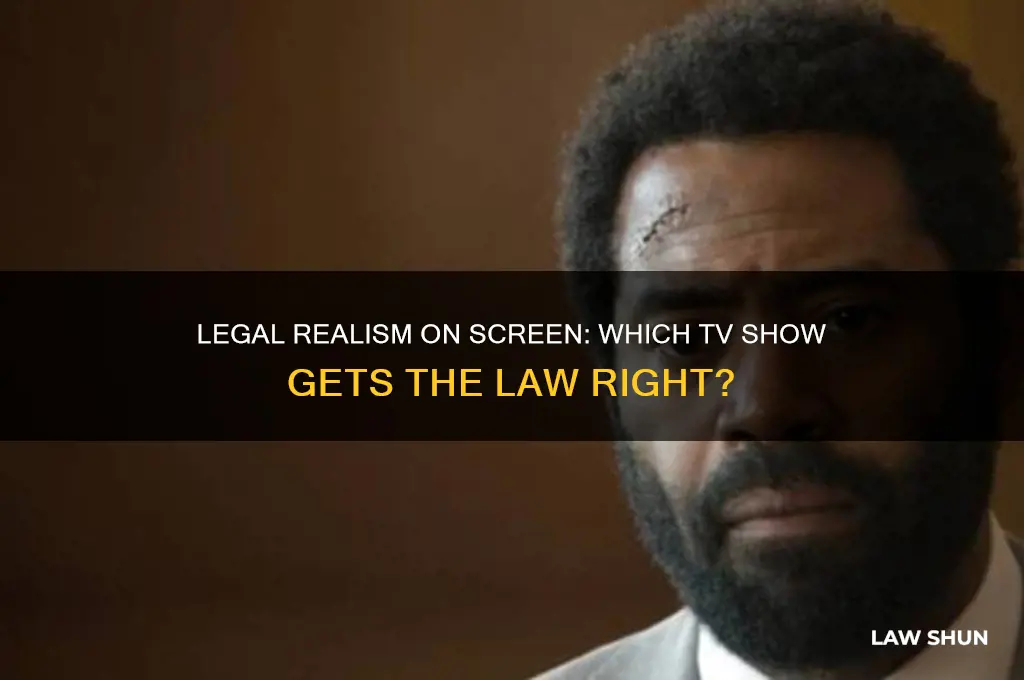 Legal Realism On Screen: Which Tv Show Gets The Law Right? | LawShun