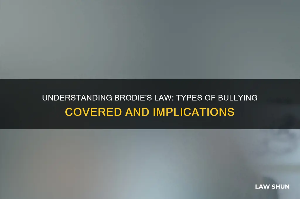 Understanding Brodie's Law: Types Of Bullying Covered And Implications ...