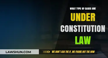 Understanding Law Case Ids: Unlocking Court Documents | LawShun