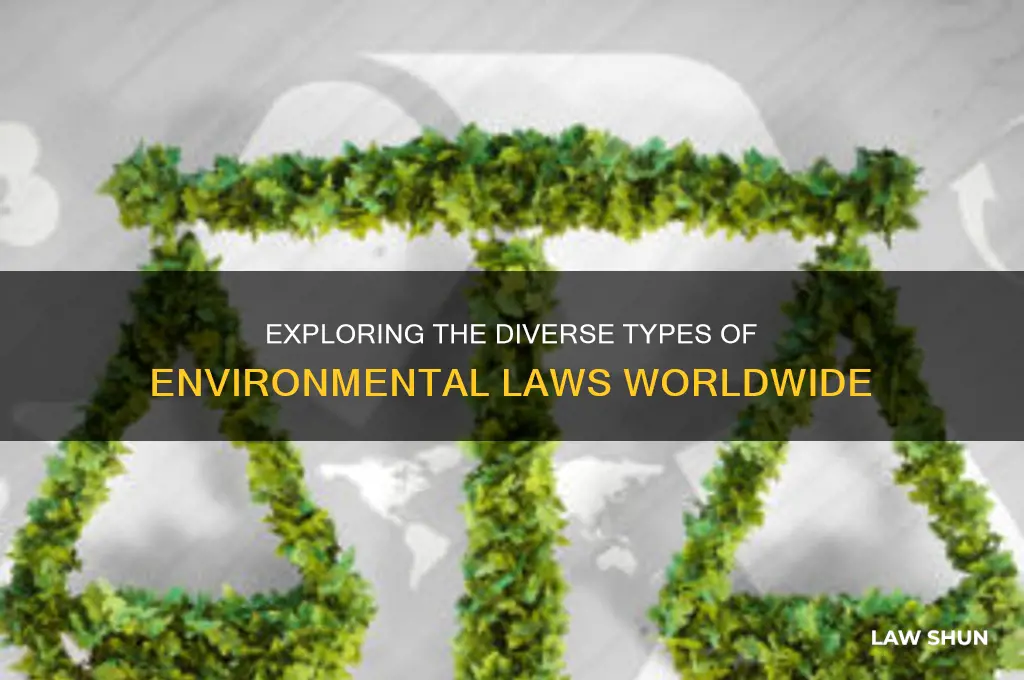 Exploring The Diverse Types Of Environmental Laws Worldwide | LawShun