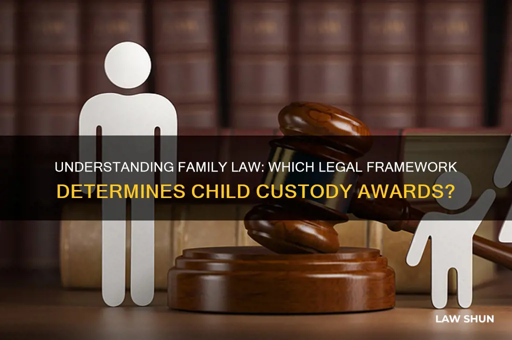 Understanding Family Law: Which Legal Framework Determines Child ...