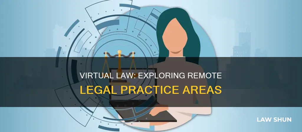 Virtual Law: Exploring Remote Legal Practice Areas | LawShun