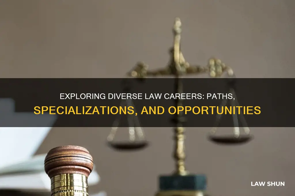 Exploring Diverse Law Careers: Paths, Specializations, And ...