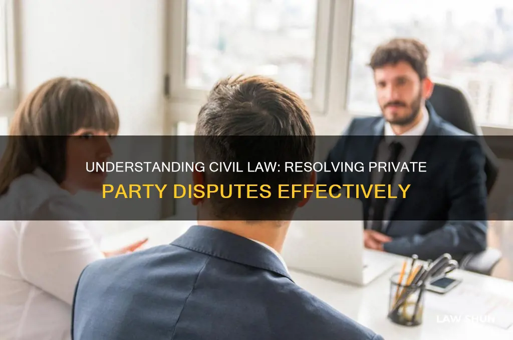Understanding Civil Law: Resolving Private Party Disputes Effectively ...