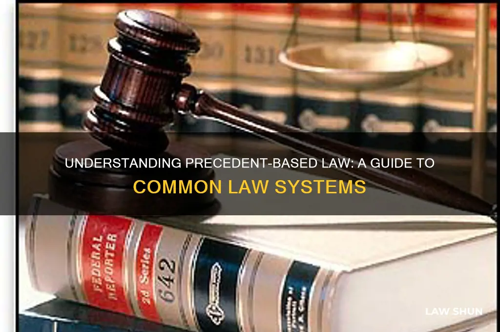 Understanding Precedent-Based Law: A Guide To Common Law Systems | LawShun