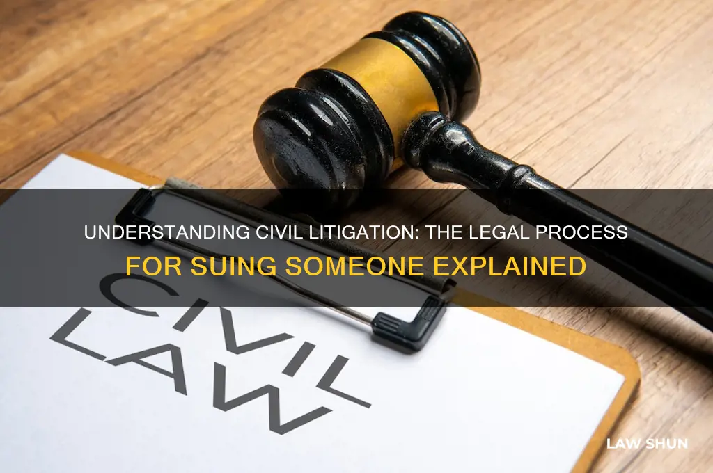 Understanding Civil Litigation: The Legal Process For Suing Someone ...