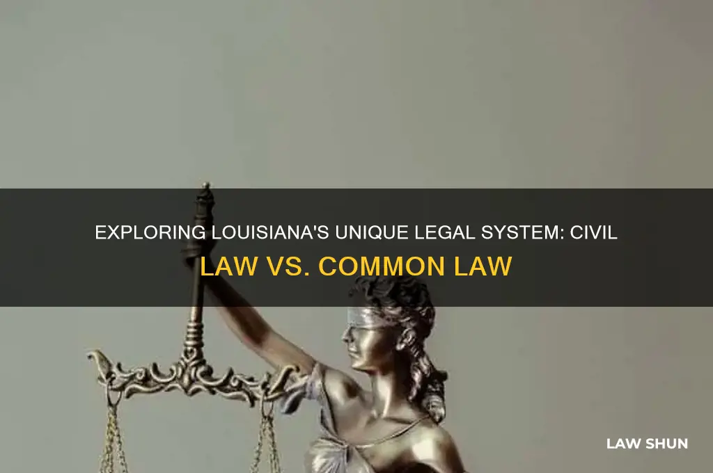 Exploring Louisiana's Unique Legal System: Civil Law Vs. Common Law ...