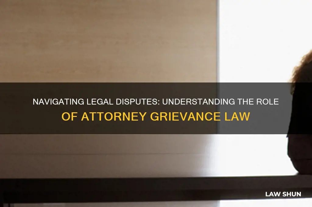 Navigating Legal Disputes: Understanding The Role Of Attorney Grievance ...