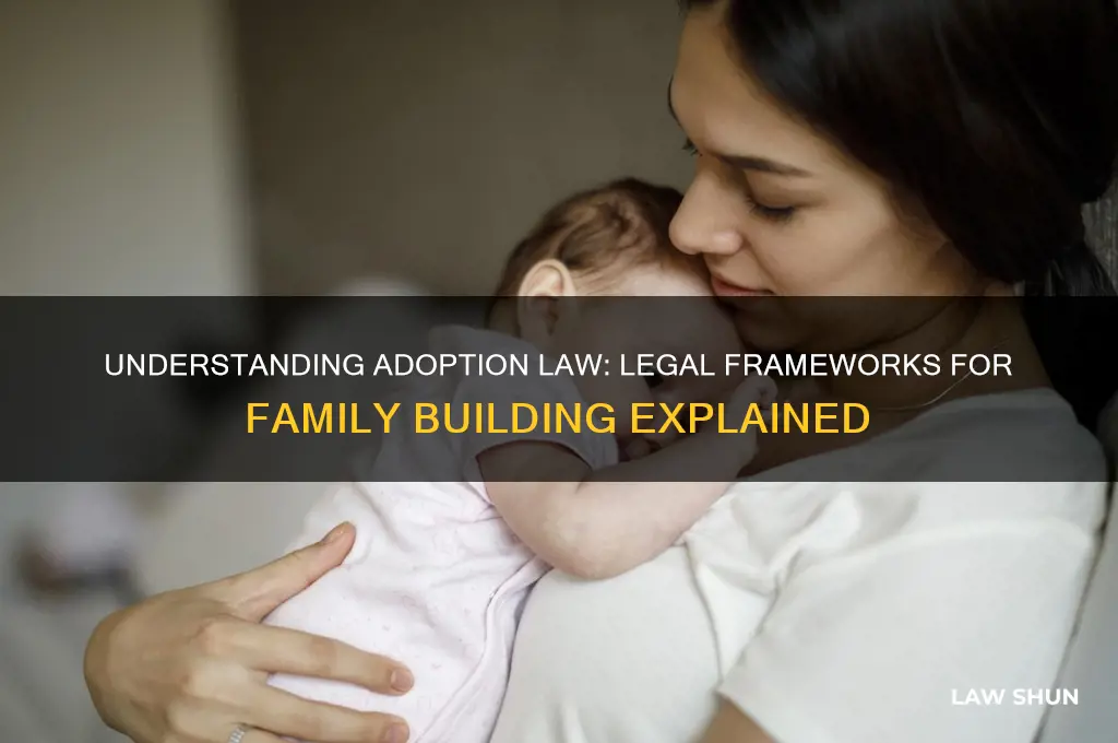 Understanding Adoption Law: Legal Frameworks For Family Building ...